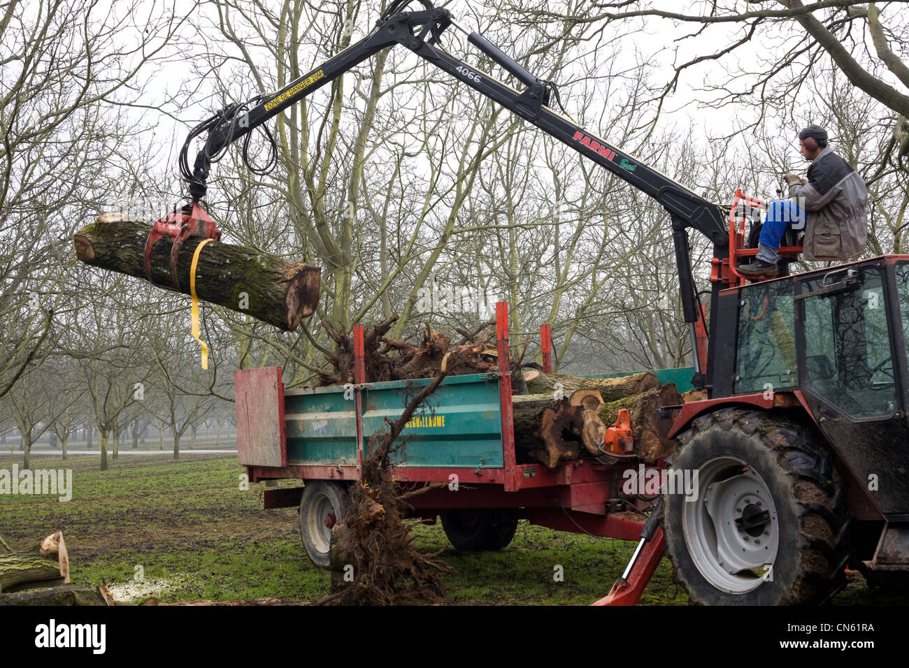 Uprooting of tree hi-res stock photography and images - Alamy