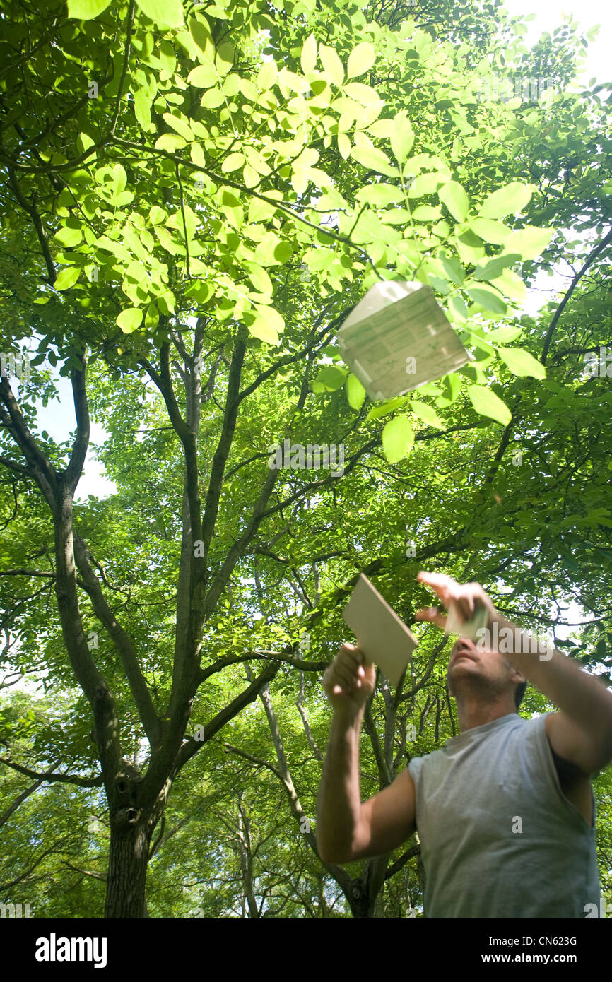 Walnut insects hi-res stock photography and images - Alamy