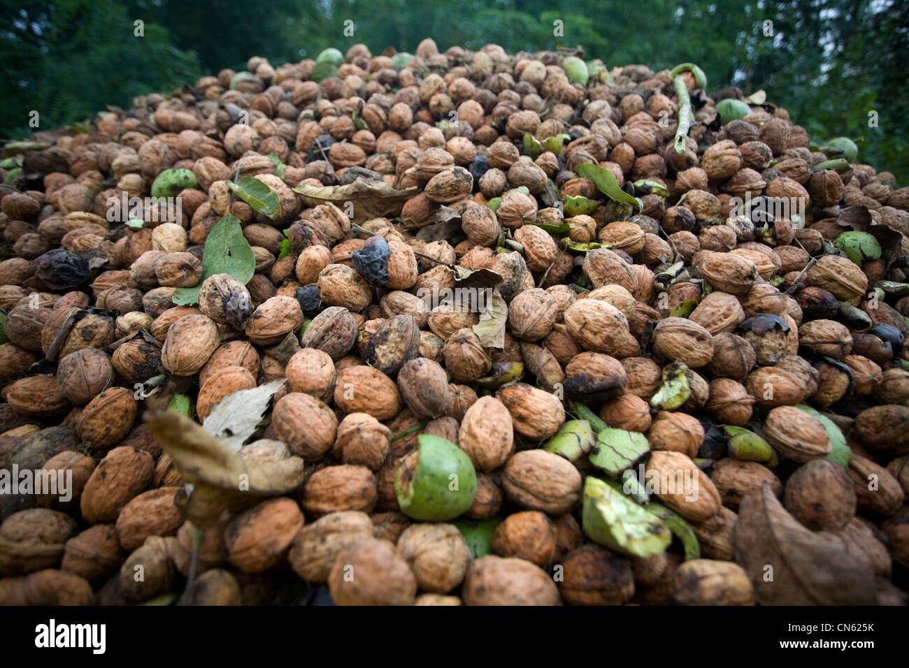 Aoc hi-res stock photography and images - Alamy