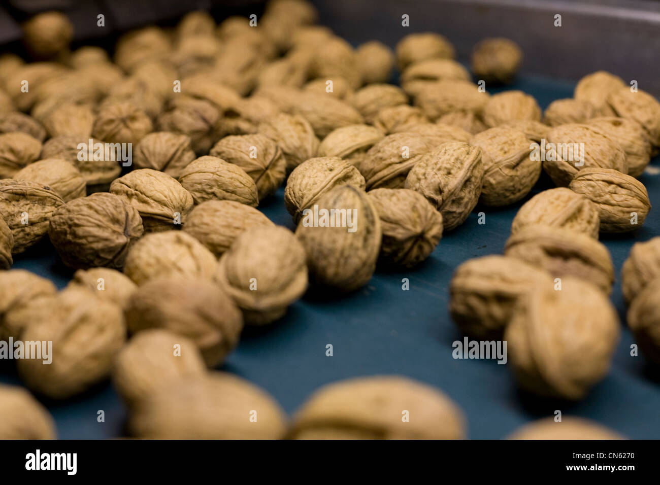 Aoc hi-res stock photography and images - Alamy