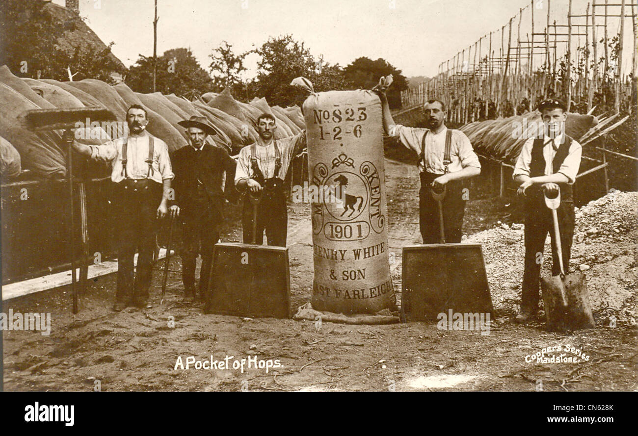 Hop pocket hi-res stock photography and images - Alamy