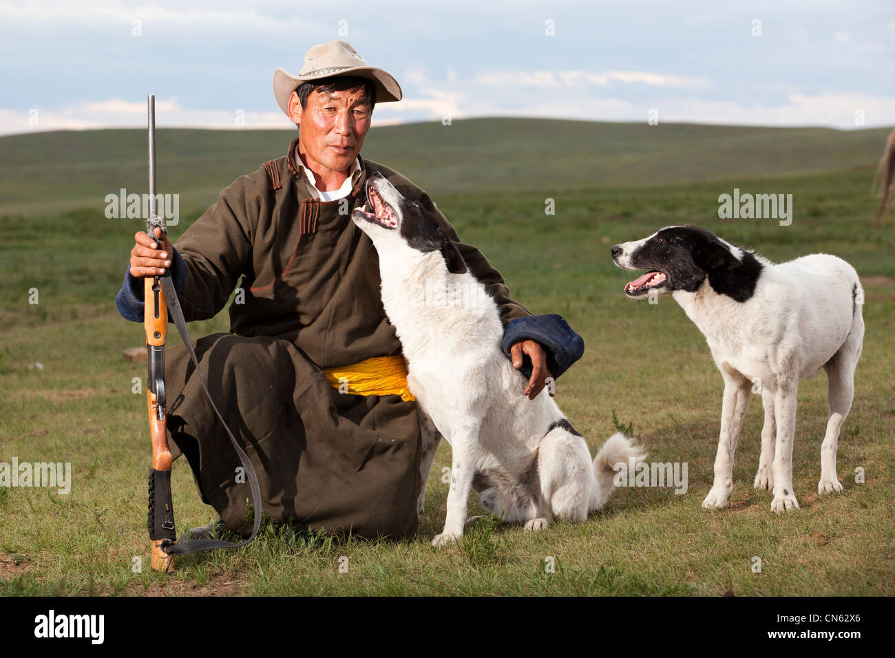 Mongolian dog hi-res stock photography and images - Alamy