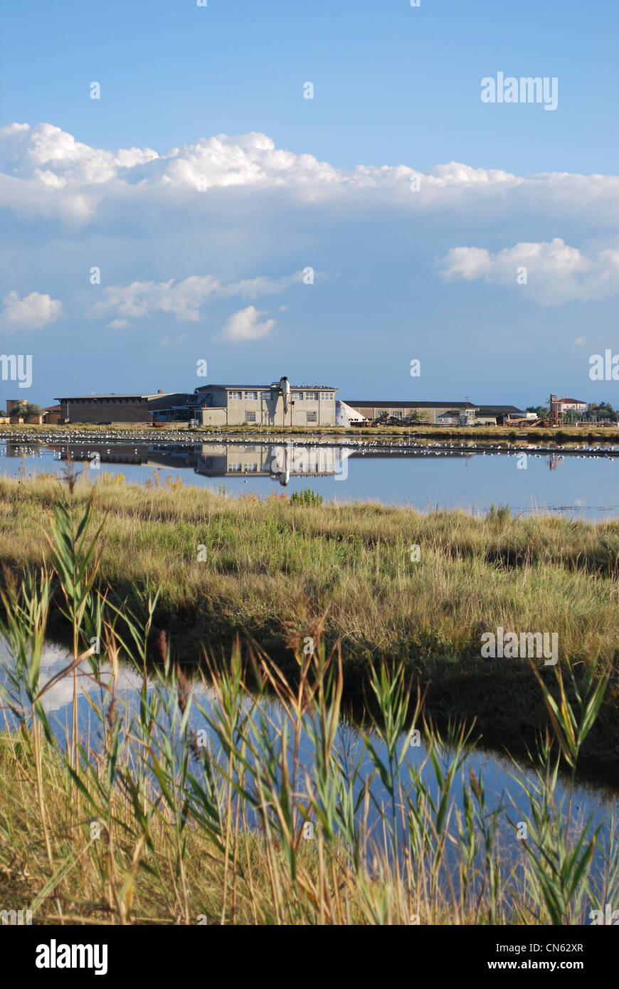 Scenic saltern and water reflections, Cervia, Ravenna, Italy Stock ...
