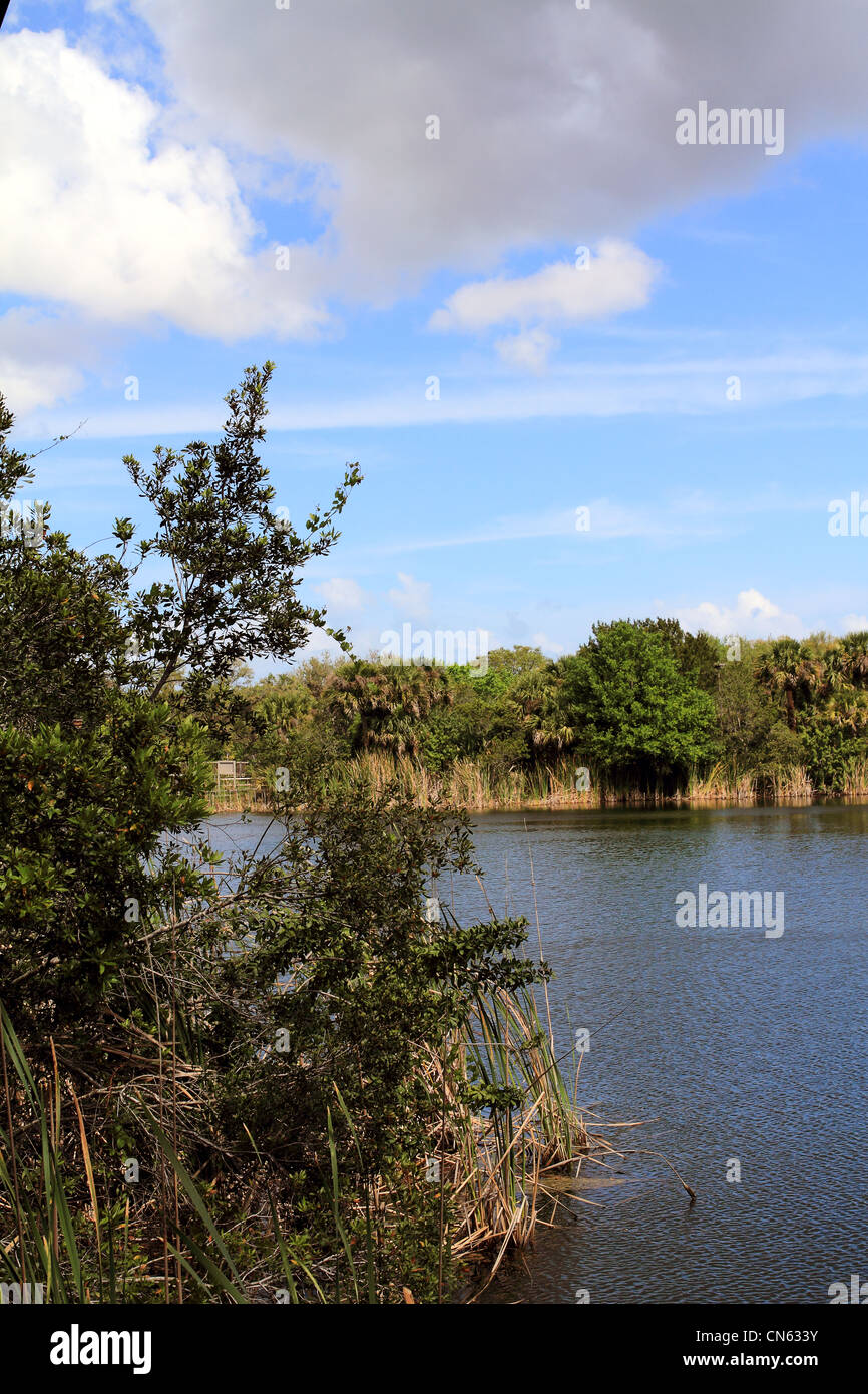 Merritt island wildlife refuge hi-res stock photography and images - Alamy