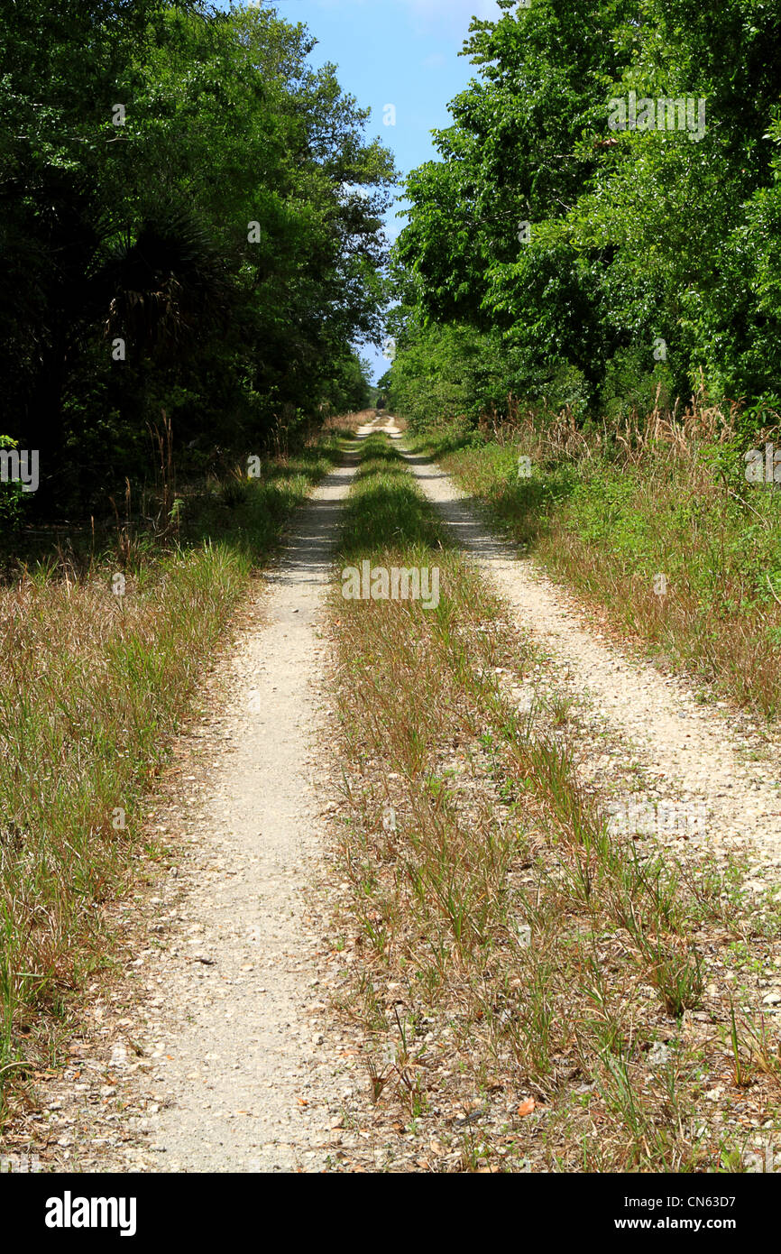 Dirt road track cuts hi-res stock photography and images - Alamy