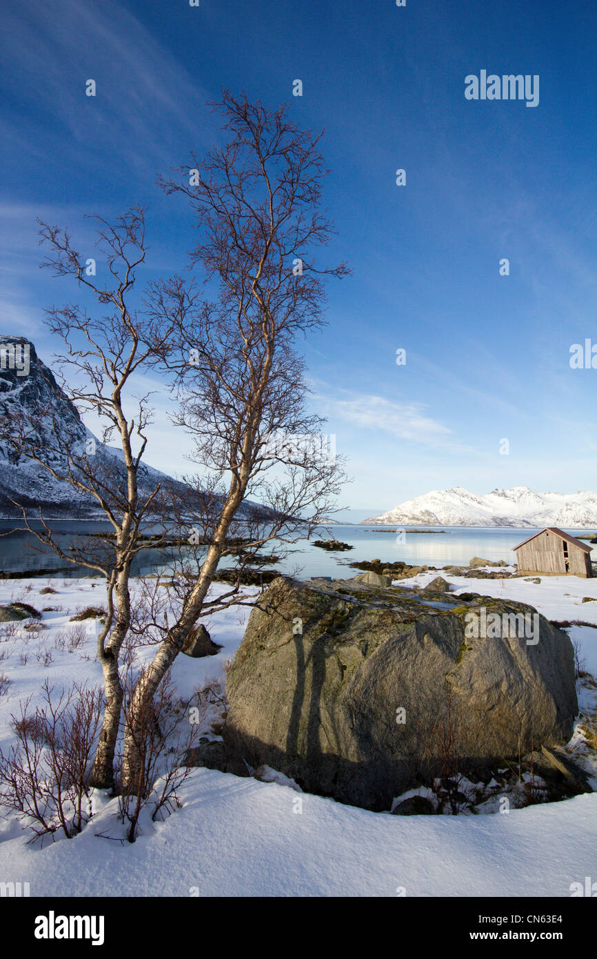 grotfjord winter troms arctic norway Stock Photo - Alamy
