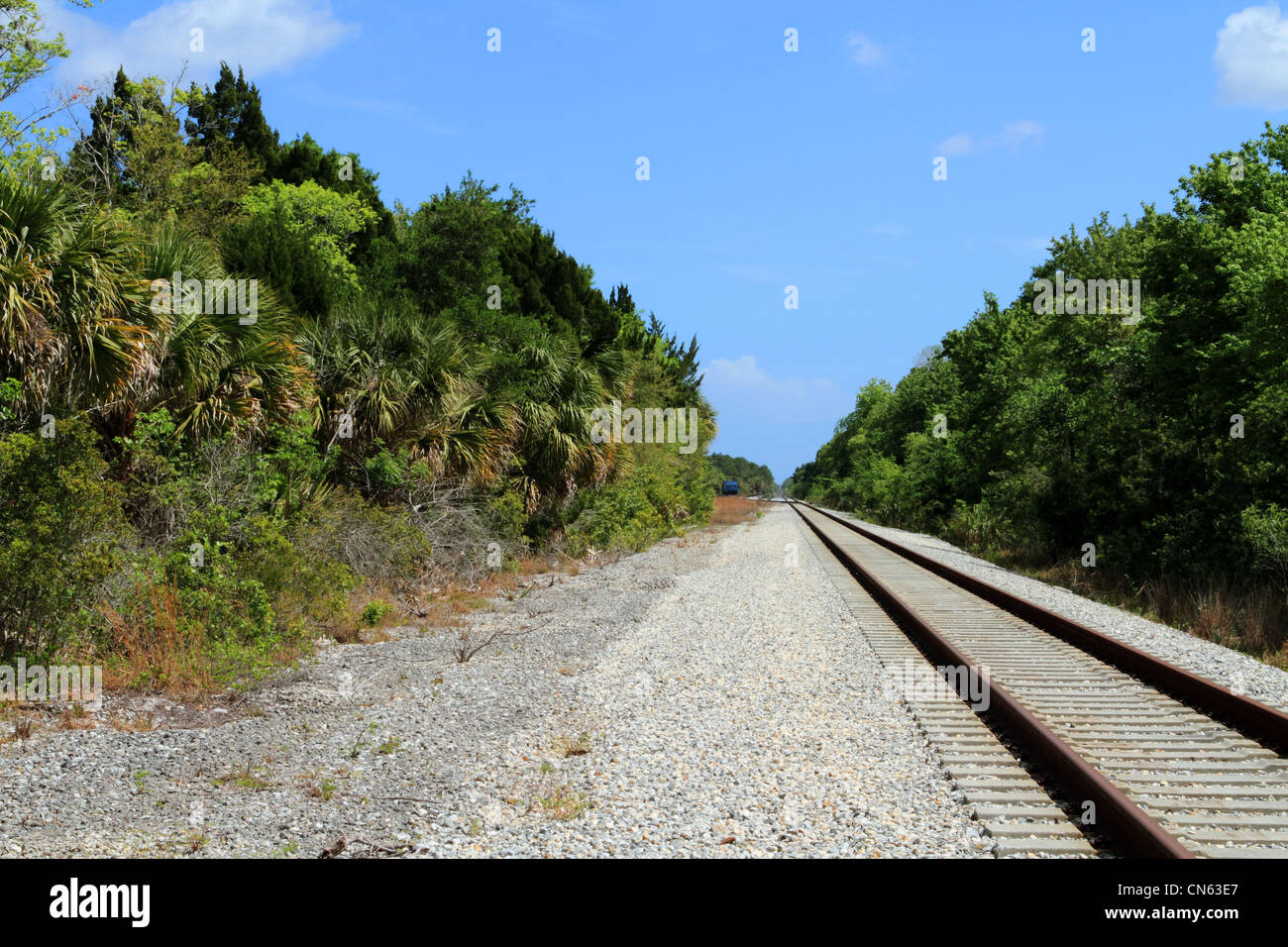 Railroad tracks reach into the distance Stock Photo - Alamy