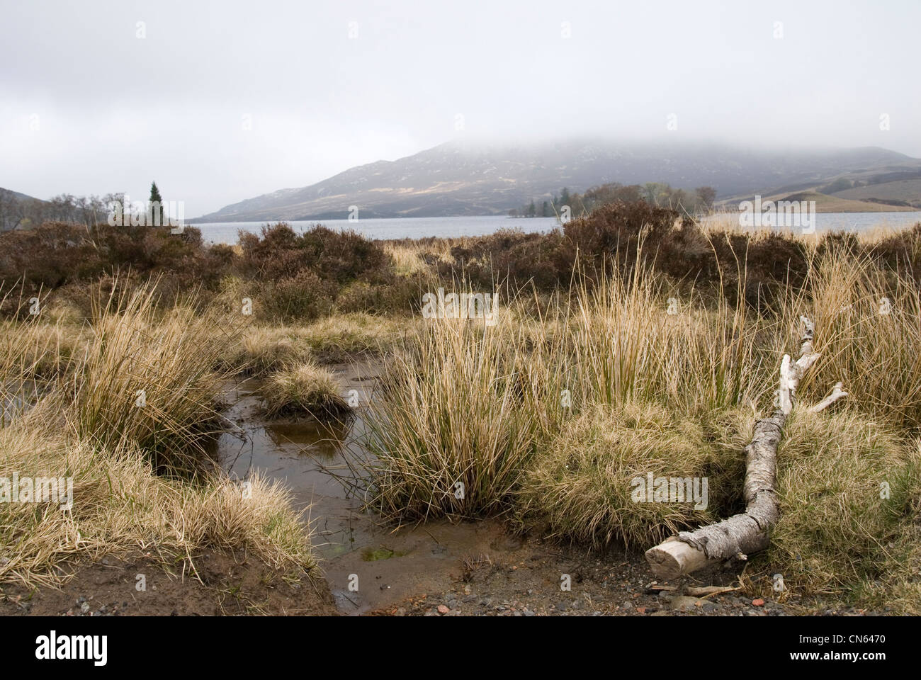 View of a loch in Scotland Stock Photo - Alamy