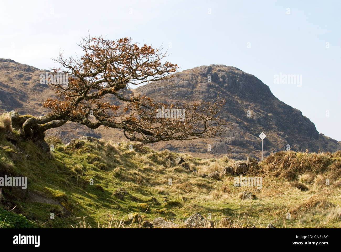 Scotland tree mountain landscape hi-res stock photography and images ...
