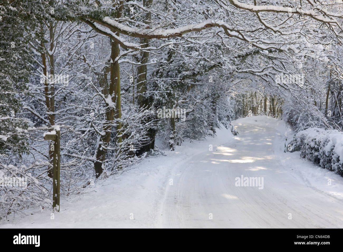 Snow scene hi-res stock photography and images - Alamy