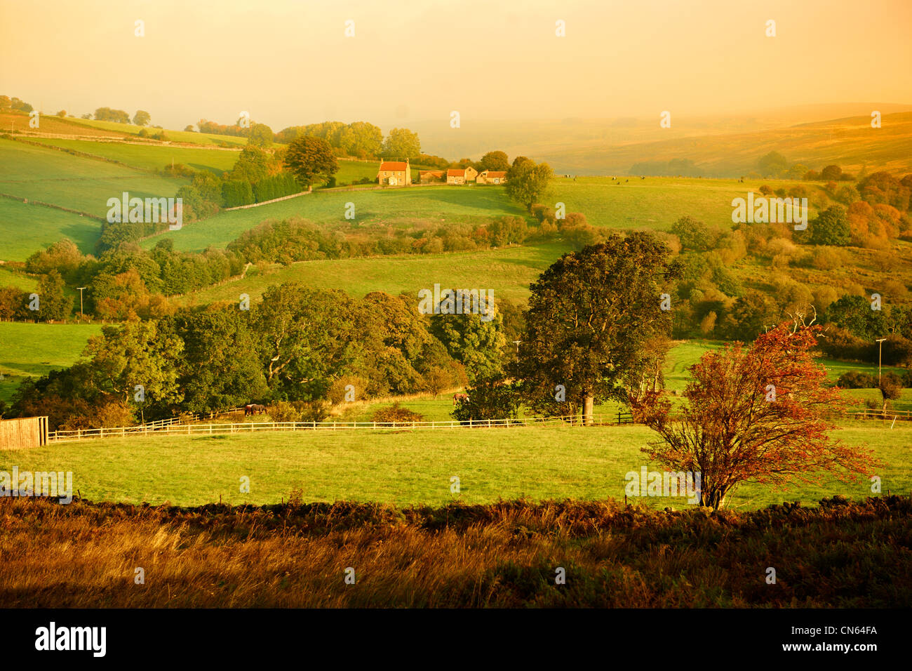 Scenic view of north yorks moors hi-res stock photography and images ...