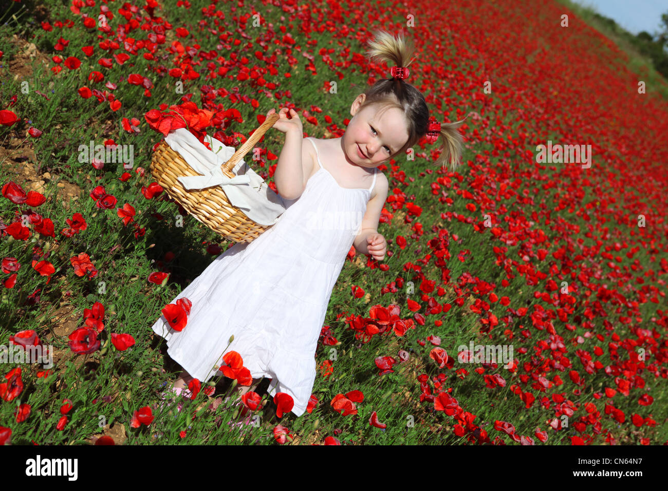 summer child picking flowers Stock Photo - Alamy
