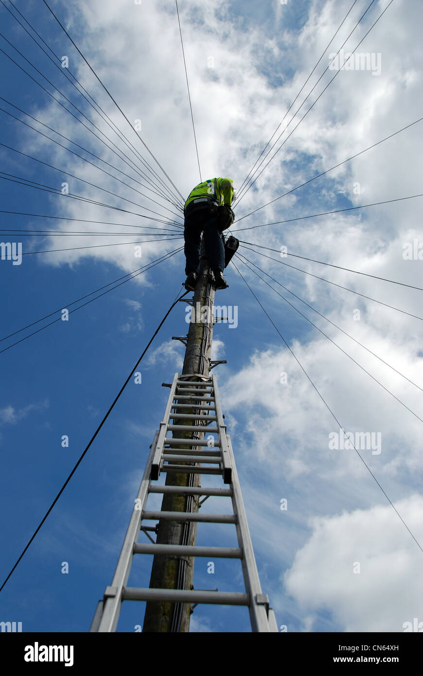 Ladder and telegraph pole hi-res stock photography and images - Alamy