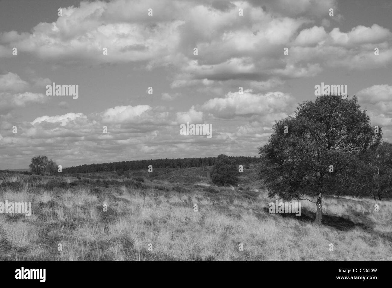 Black & White image of countryside Stock Photo - Alamy