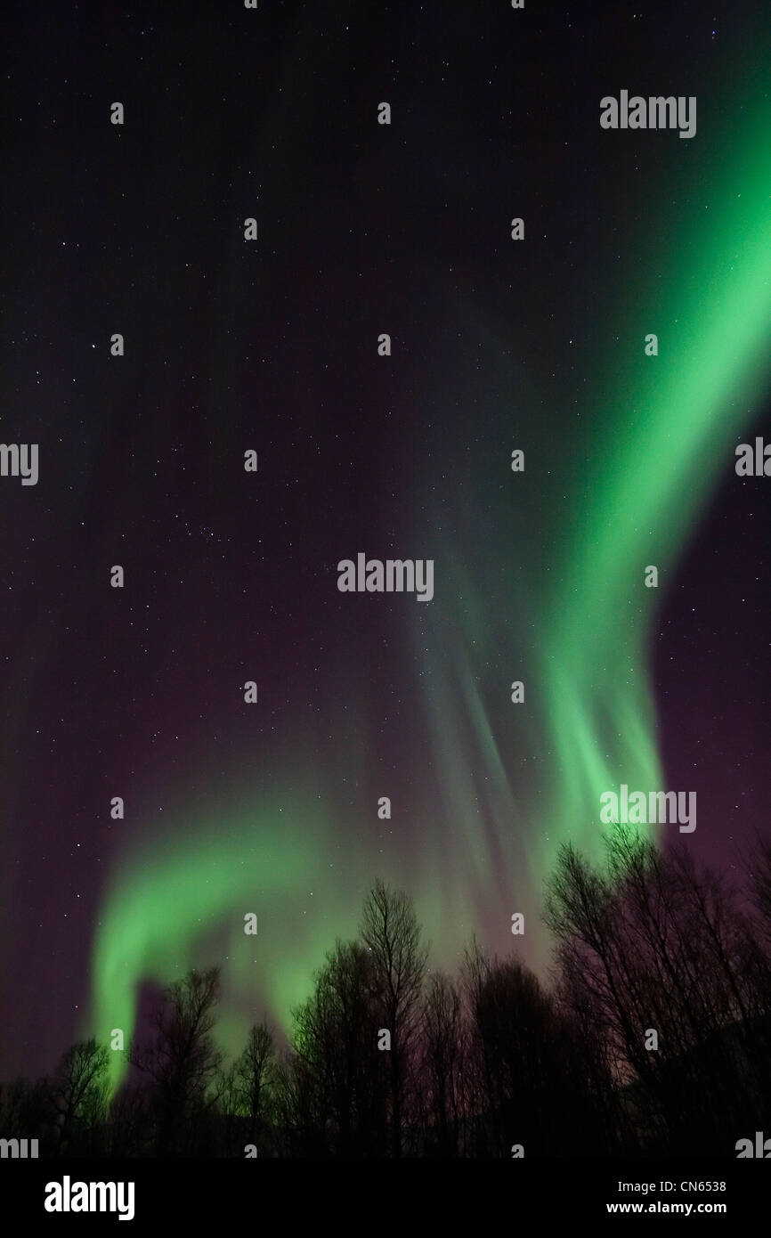 Aurora borealis or northern lights moving across night sky within the ...
