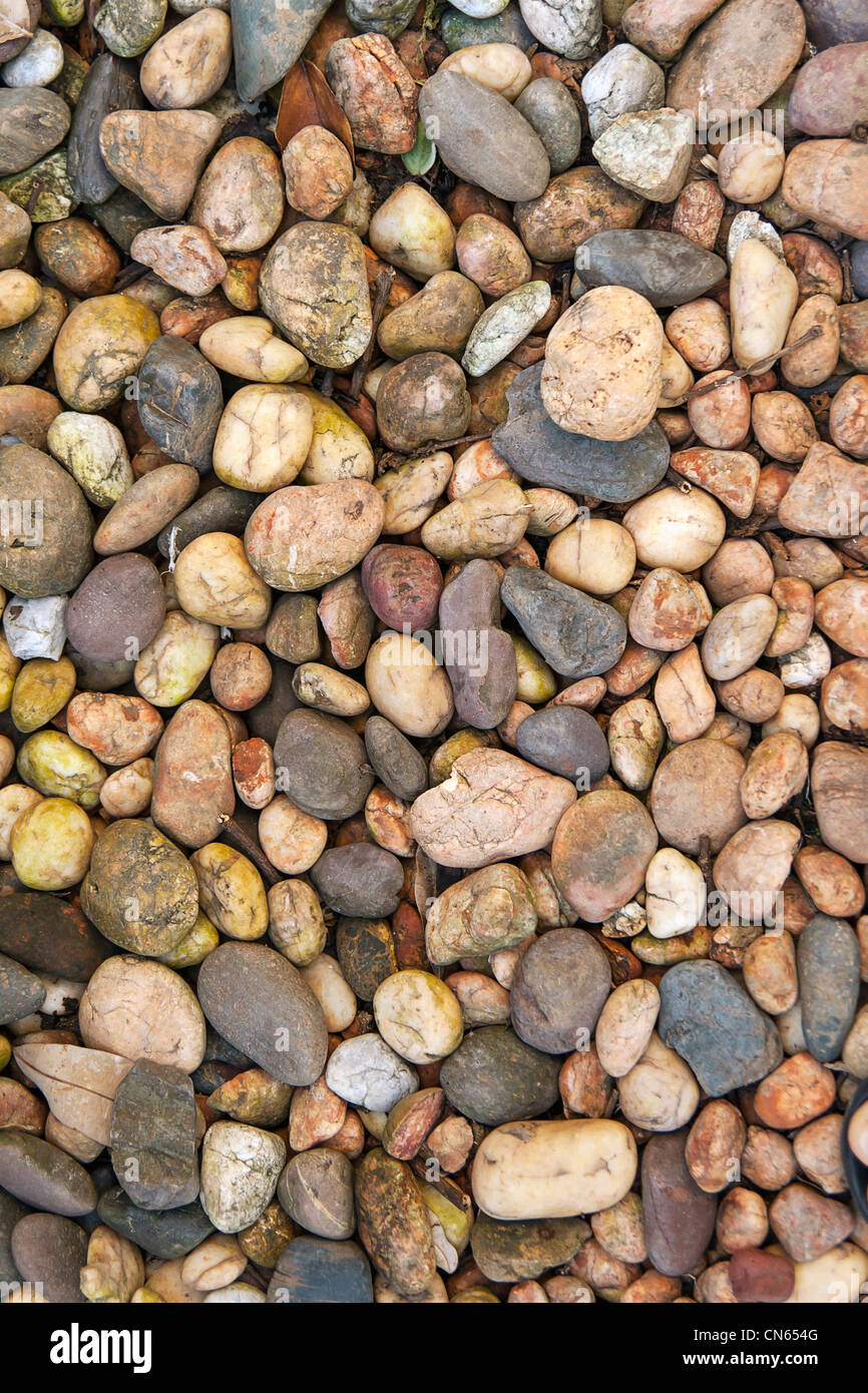 Stones of different colors With moss Stock Photo - Alamy