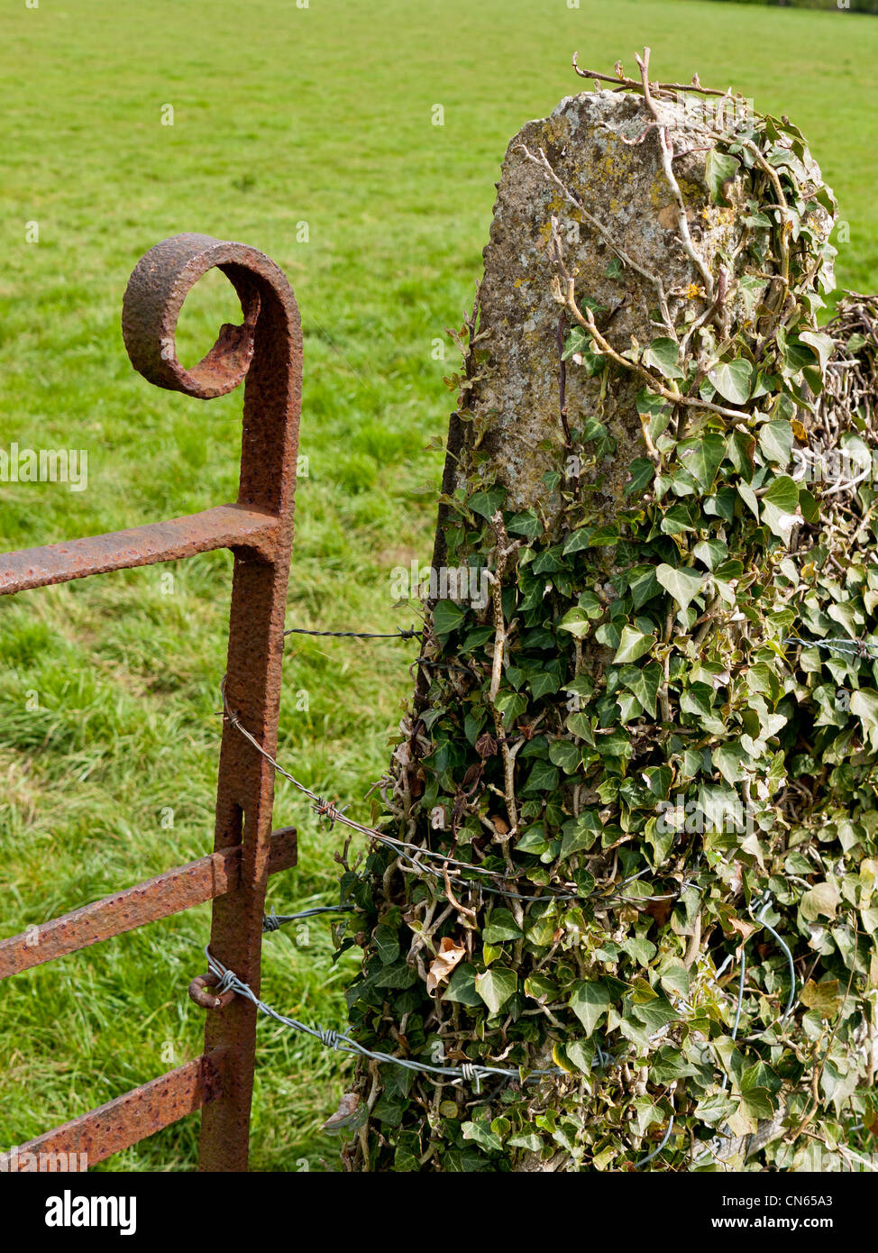 Steel field gate hi-res stock photography and images - Alamy