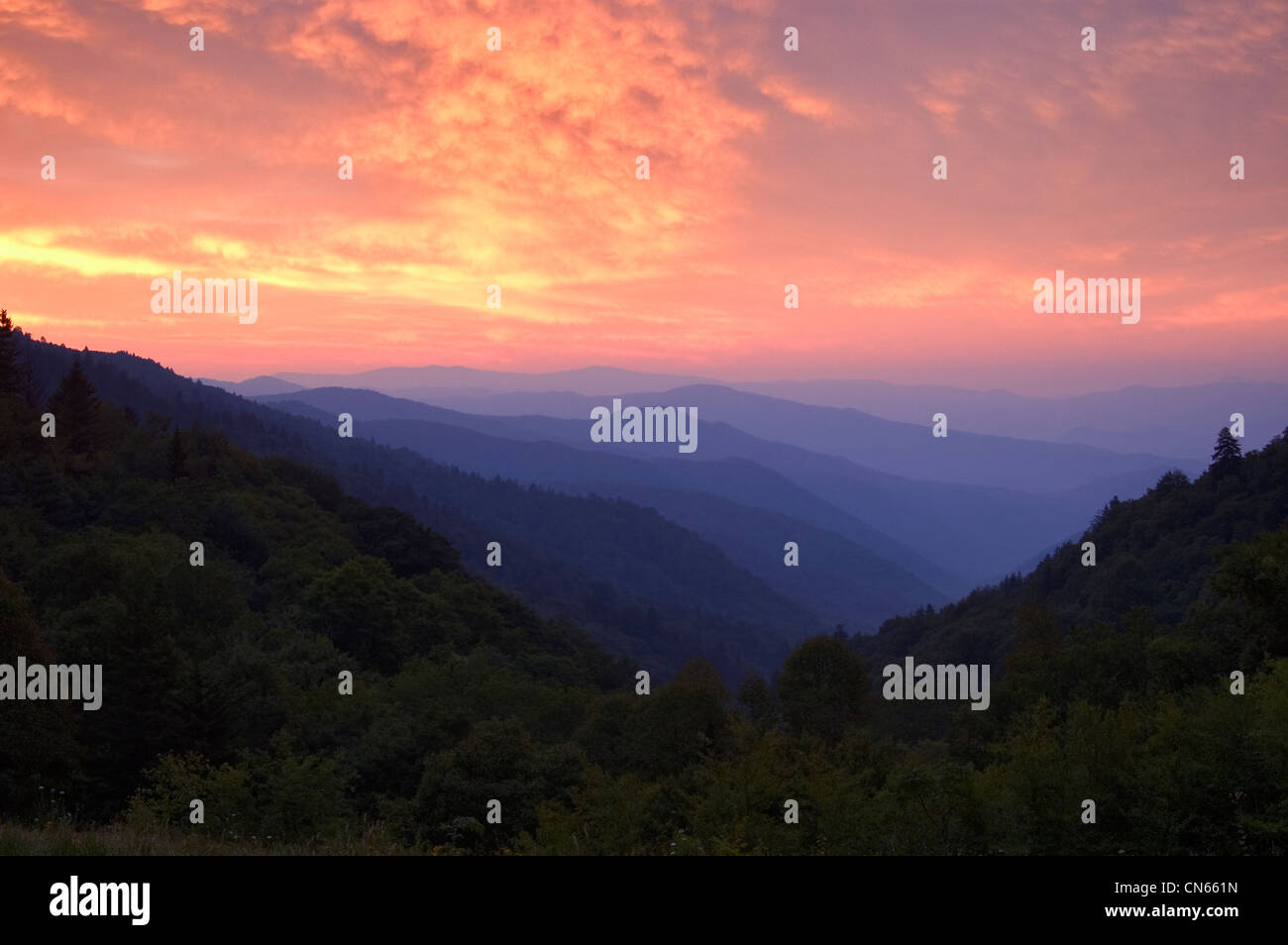 Sunrise Over Newfound Gap - Great Smokey Mountains National Park, North ...