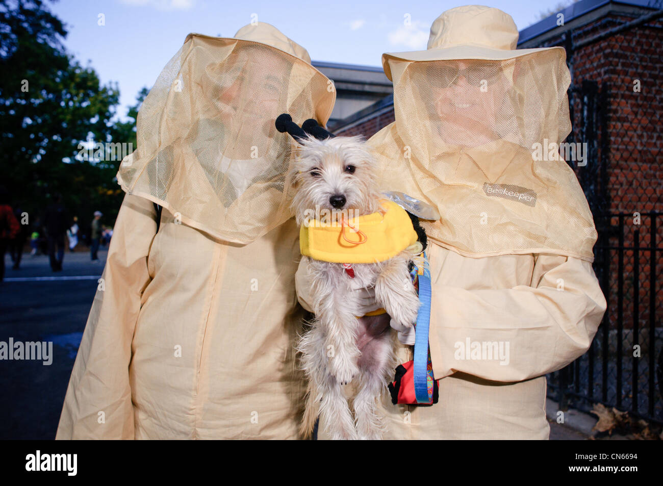 Anthropomorphic bee hi-res stock photography and images - Alamy