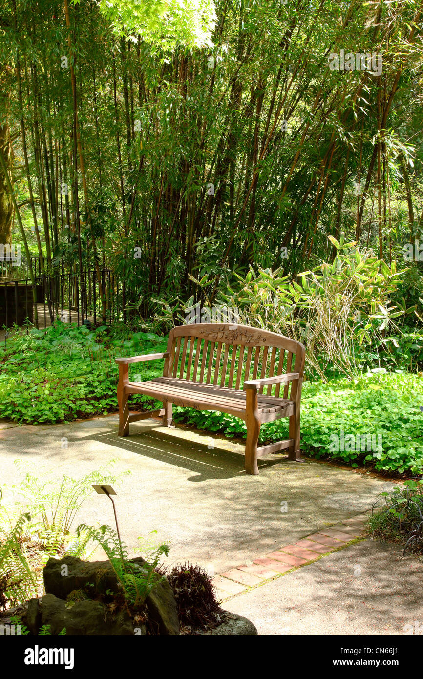 Outdoor bench & nature Stock Photo - Alamy
