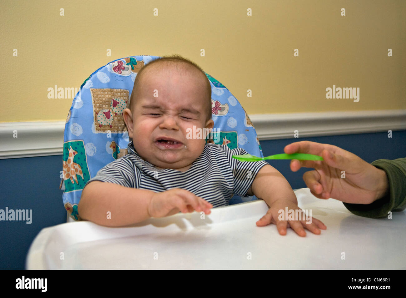 Nine Month Old Baby Boy Unhappy about Eating Avacado for the First Time ...