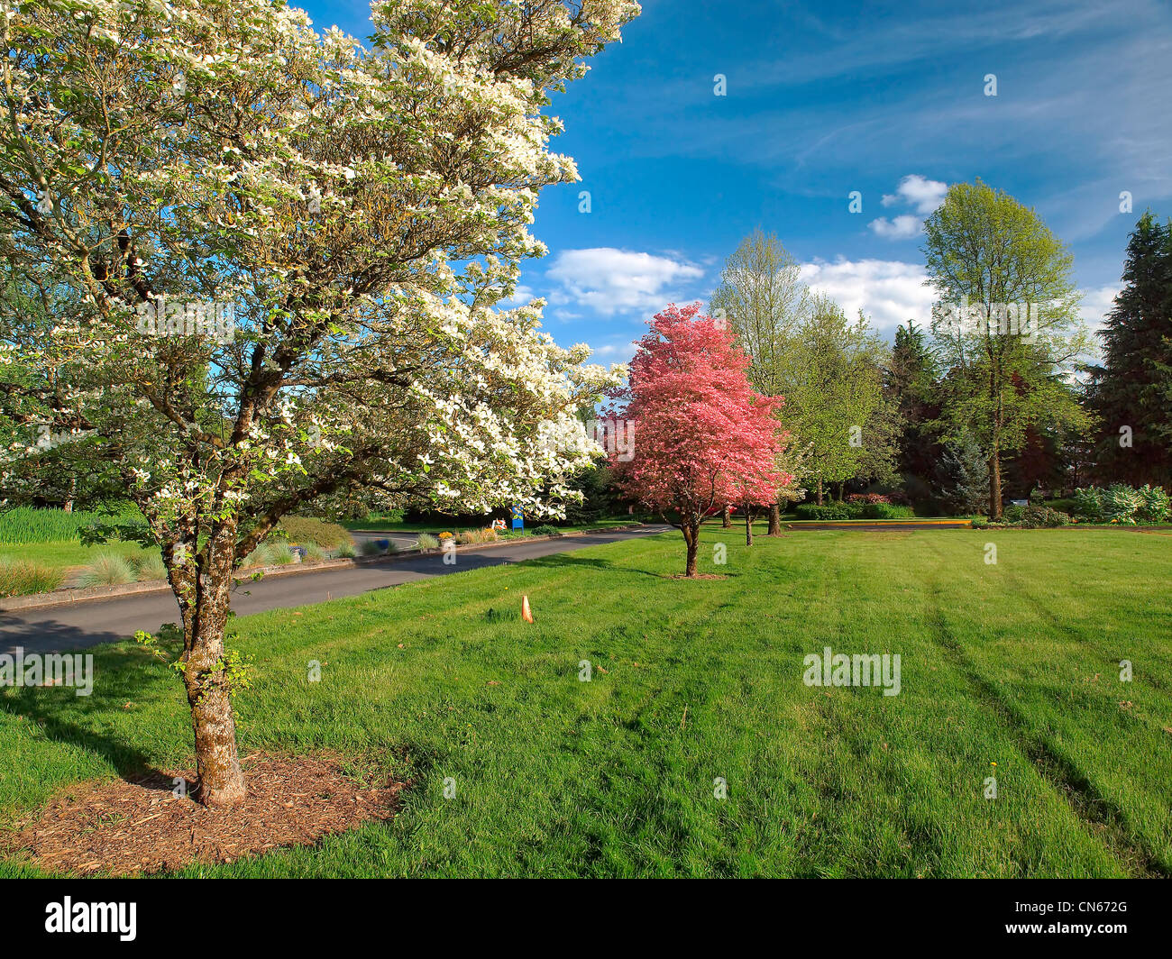 Walking trails in oregon hi-res stock photography and images - Alamy