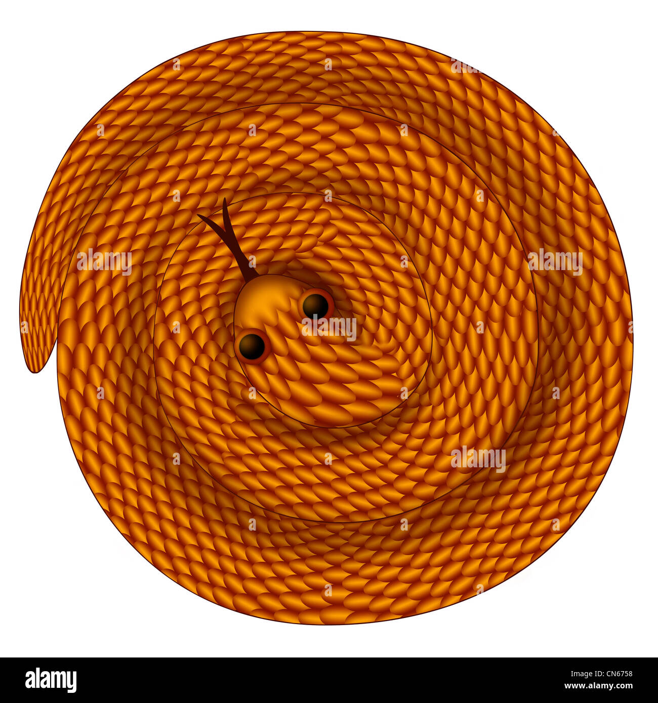 Coiled Snake Illustration