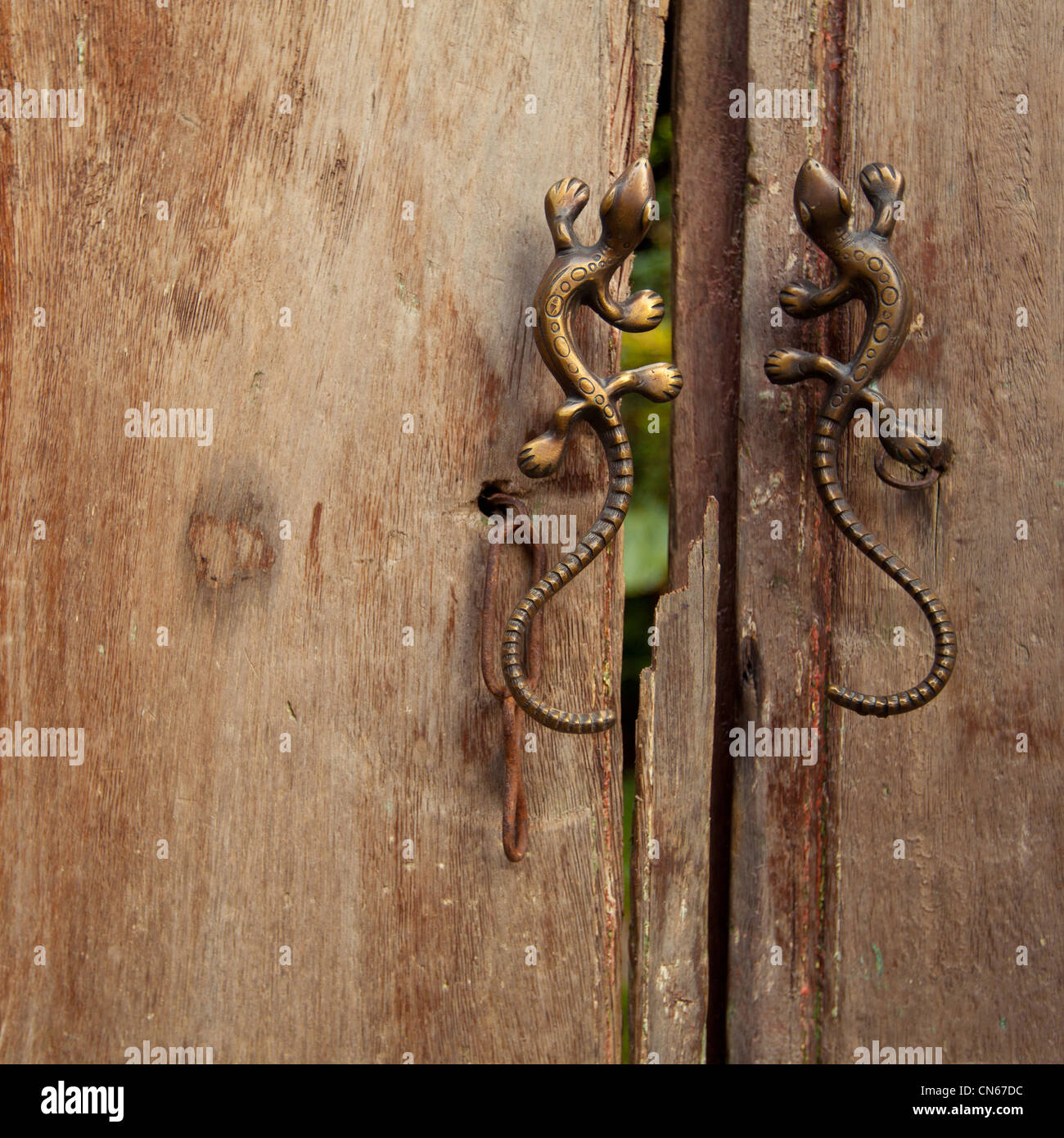 Old wooden doors with handles in the form of lizards, square texture ...