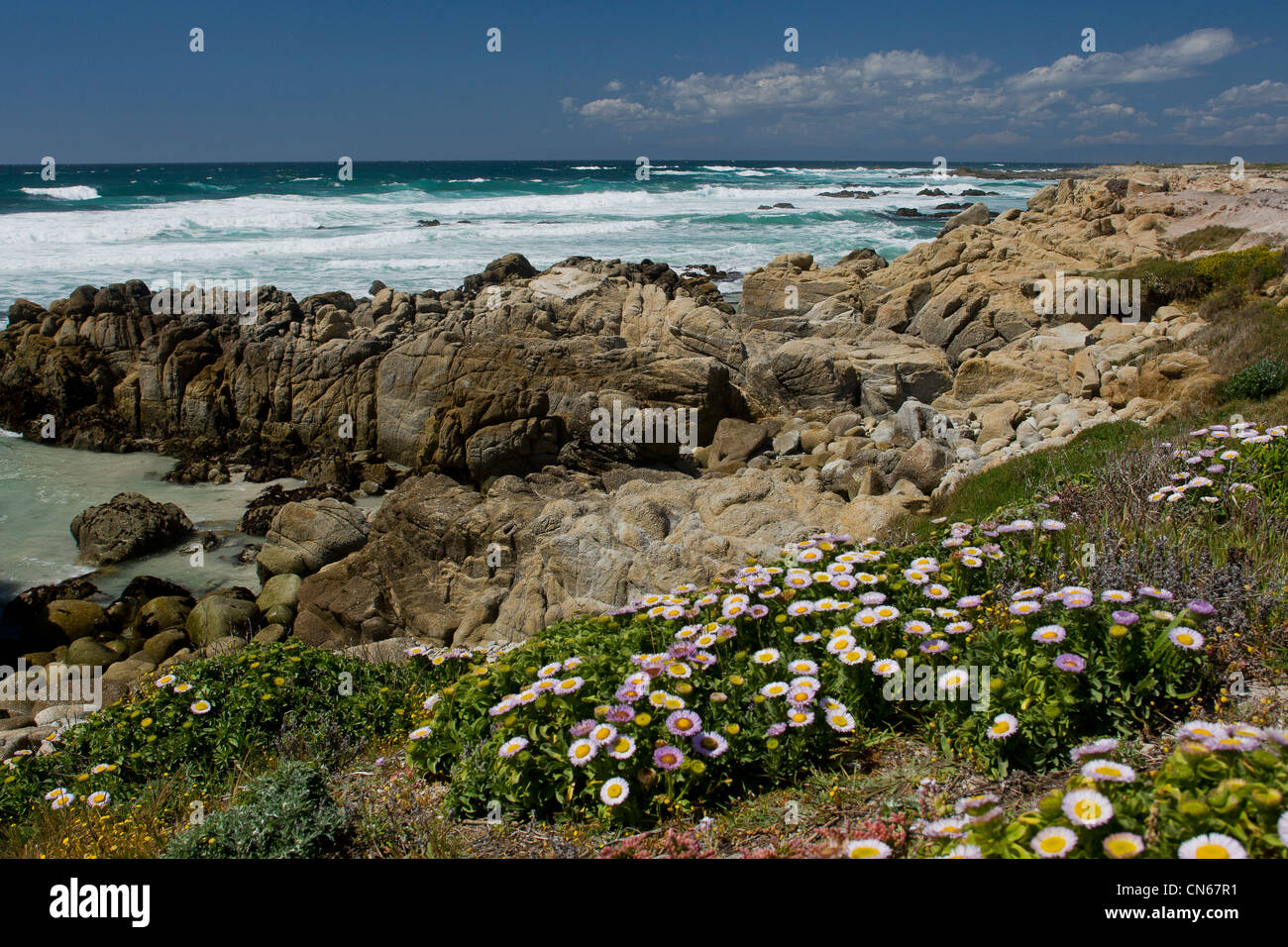 California Coastline. 17 Mile Drive, Monterey, CA Stock Photo - Alamy