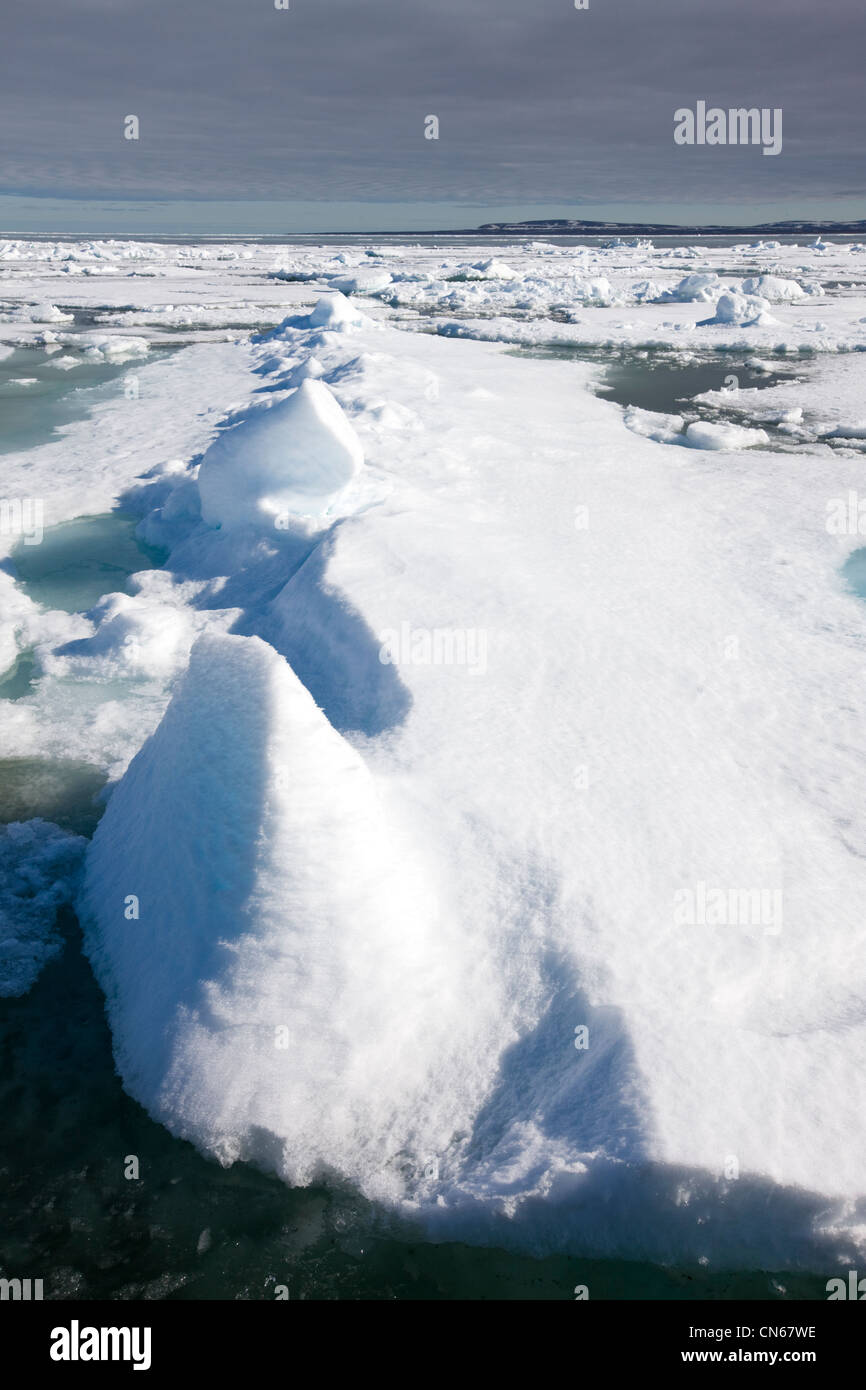 Norway, Svalbard, Edgeoya Island, Snow drifts on first year sea ice on ...