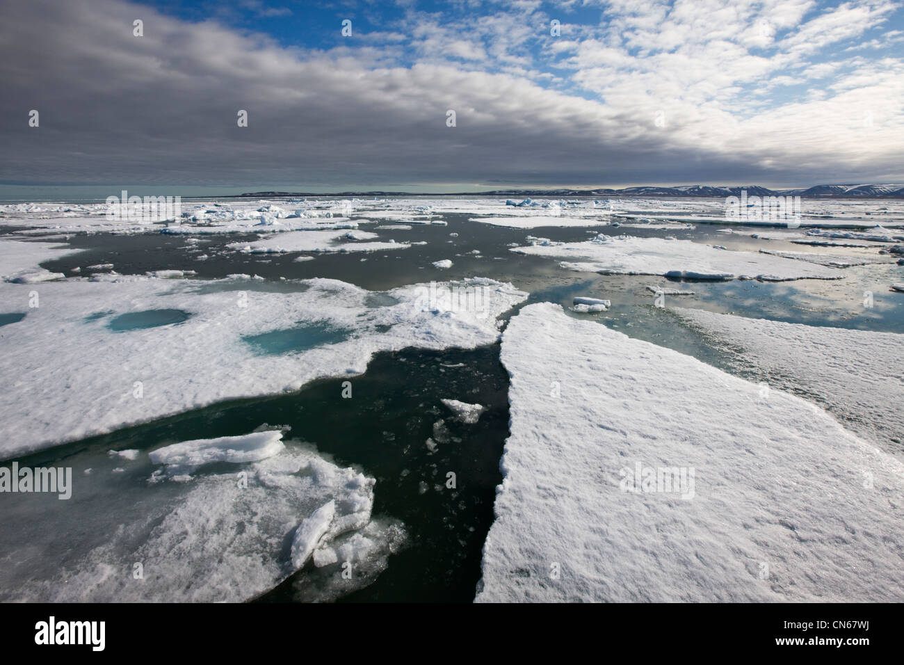 Norway, Svalbard, Edgeoya Island, Fractured first year sea ice on ...
