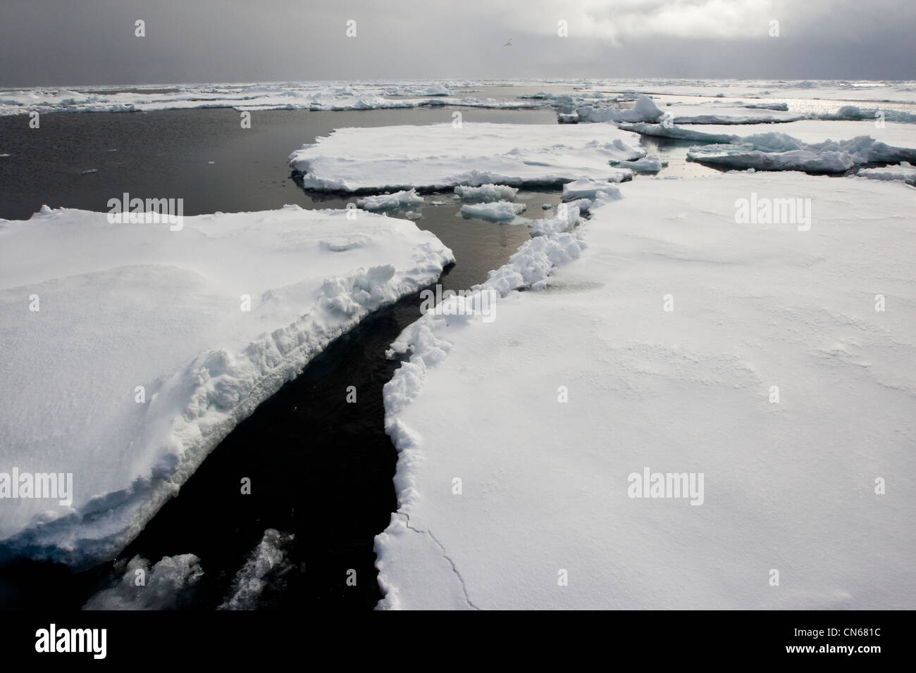 Norway, Svalbard, Nordaustlandet, Sea ice and clearing snow storm in ...