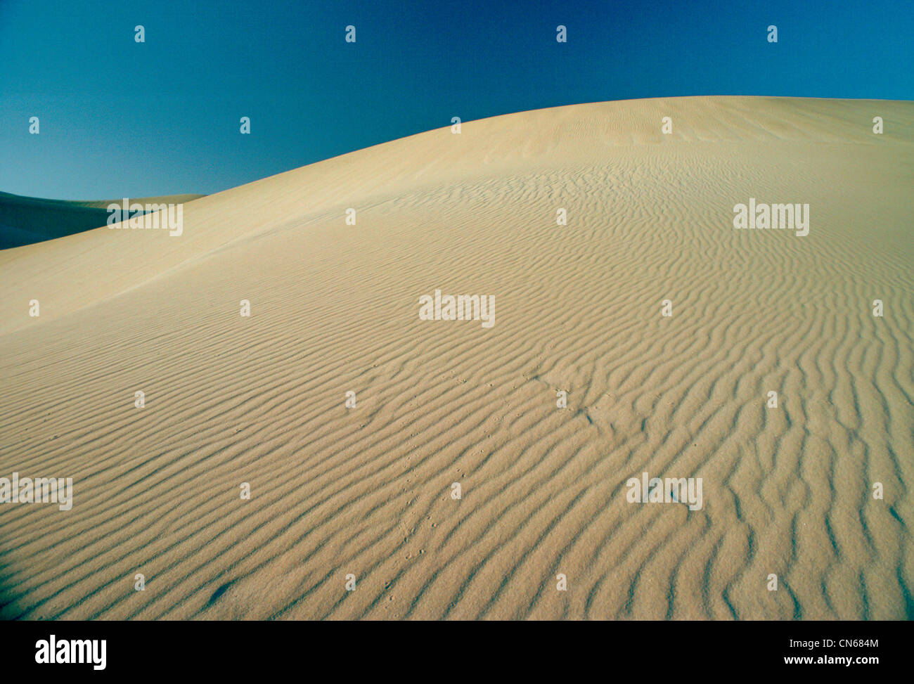 Footprints through the sand ridges in the desert at Qatar Stock Photo ...
