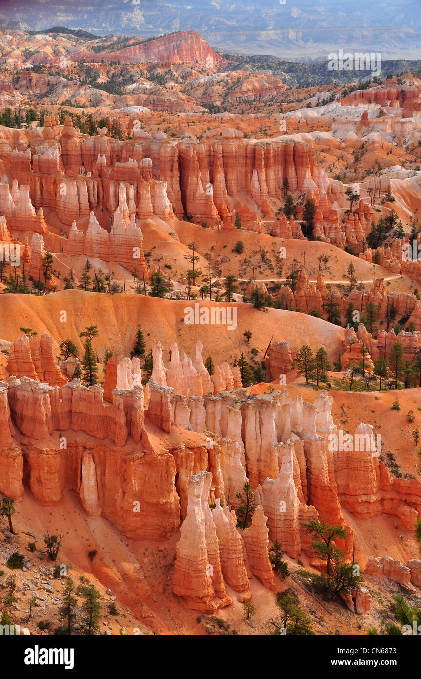 Hoodoo spires in Utah's Bryce Canyon National Park Stock Photo - Alamy