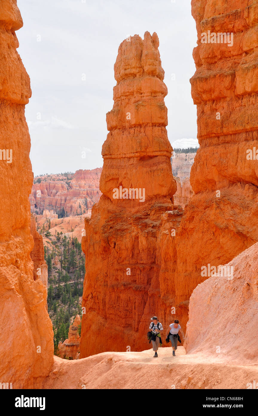 Hikers on the Navajo Loop Trail in Utah's Bryce Canyon National Park ...