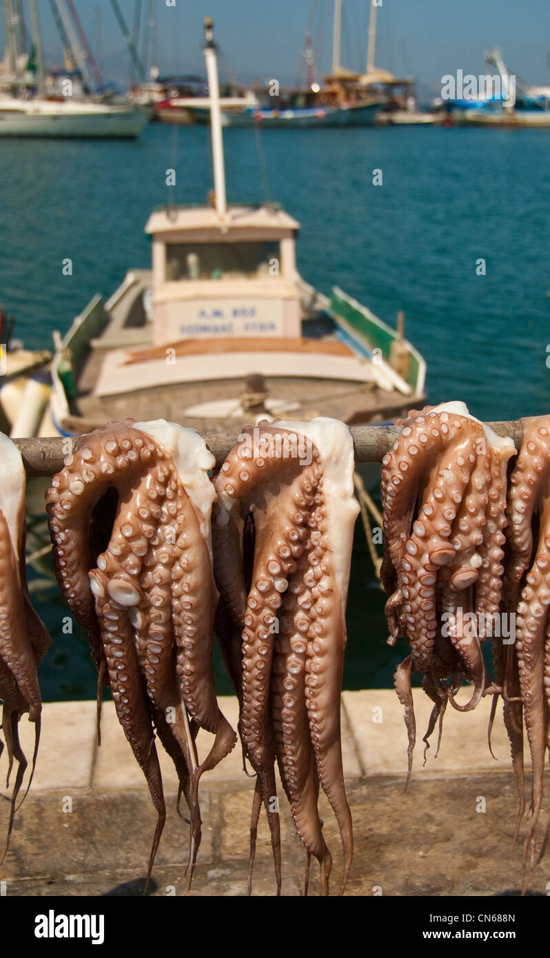 Bay suckers hi-res stock photography and images - Alamy