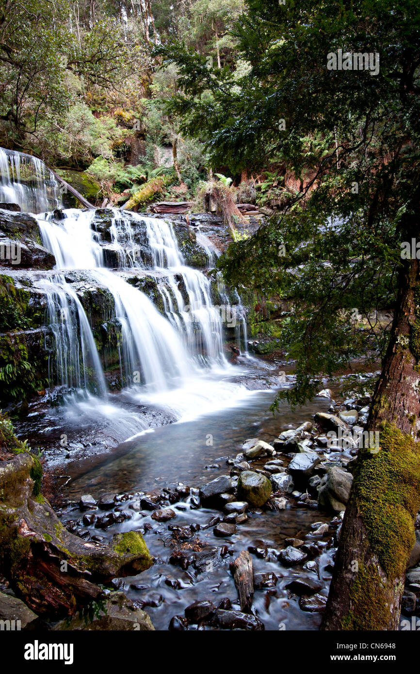 Multi level and multi stream waterfall and tree Stock Photo - Alamy