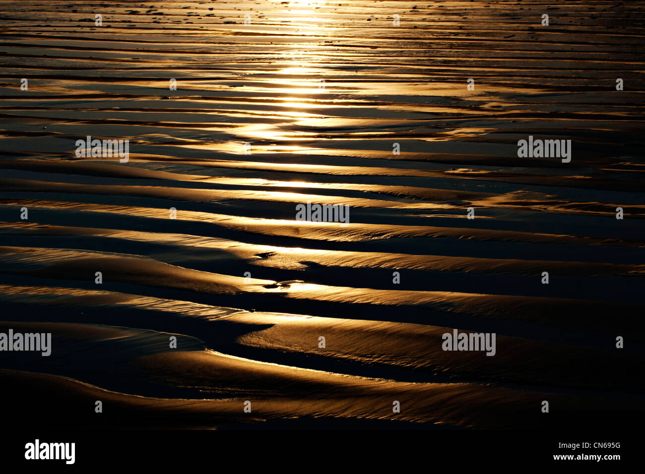 Sand ripples reflecting sunset light on beach at low tide Stock Photo ...