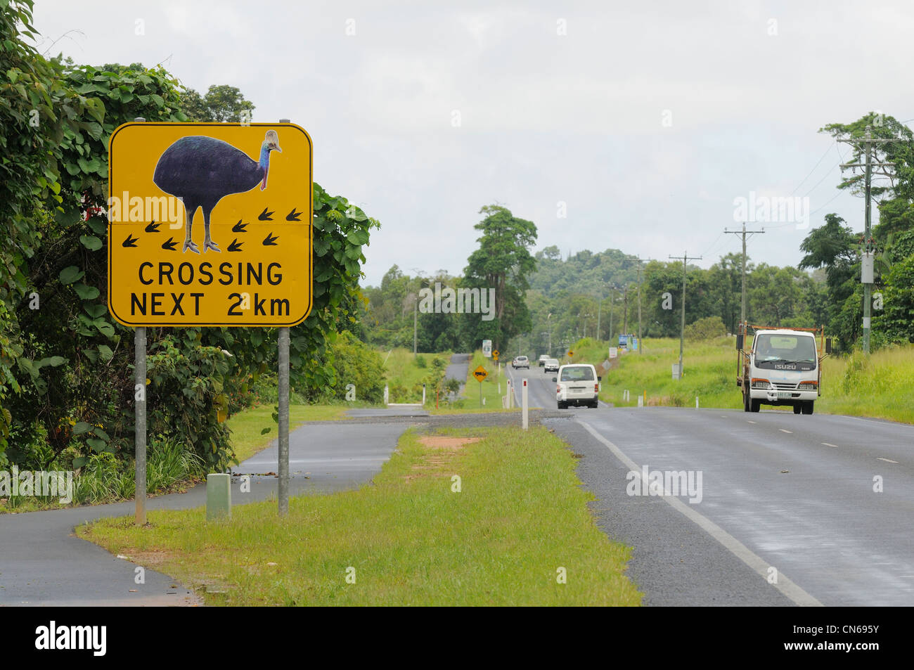 Southern Cassowary road warning sign Photographed in northern ...