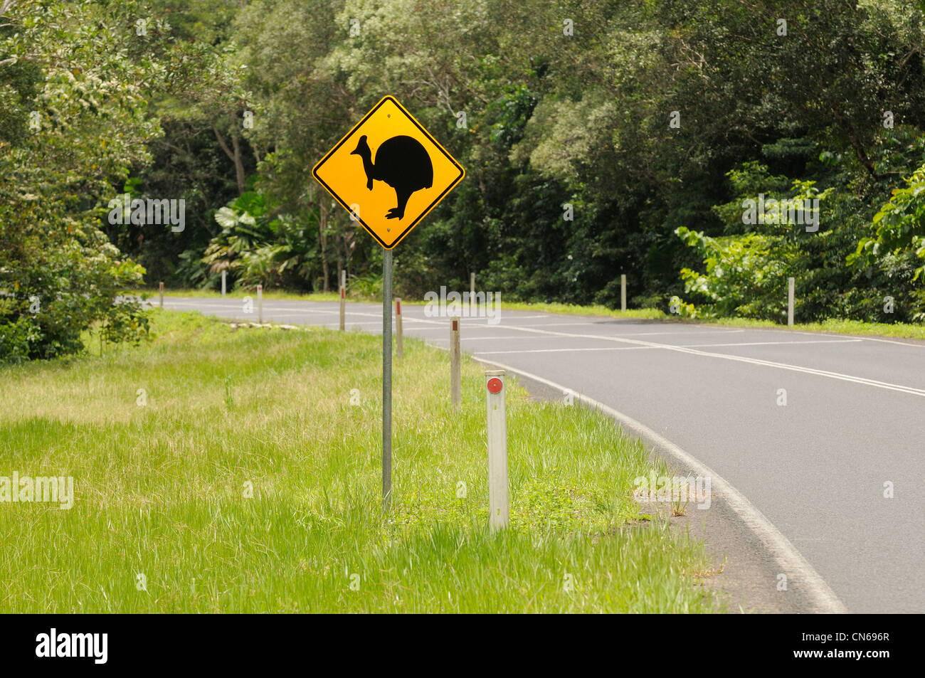 Southern Cassowary road warning sign Photographed in northern ...