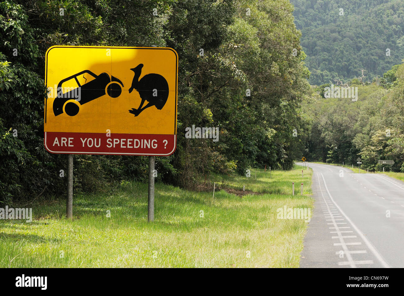 Southern Cassowary road warning sign Photographed in northern ...