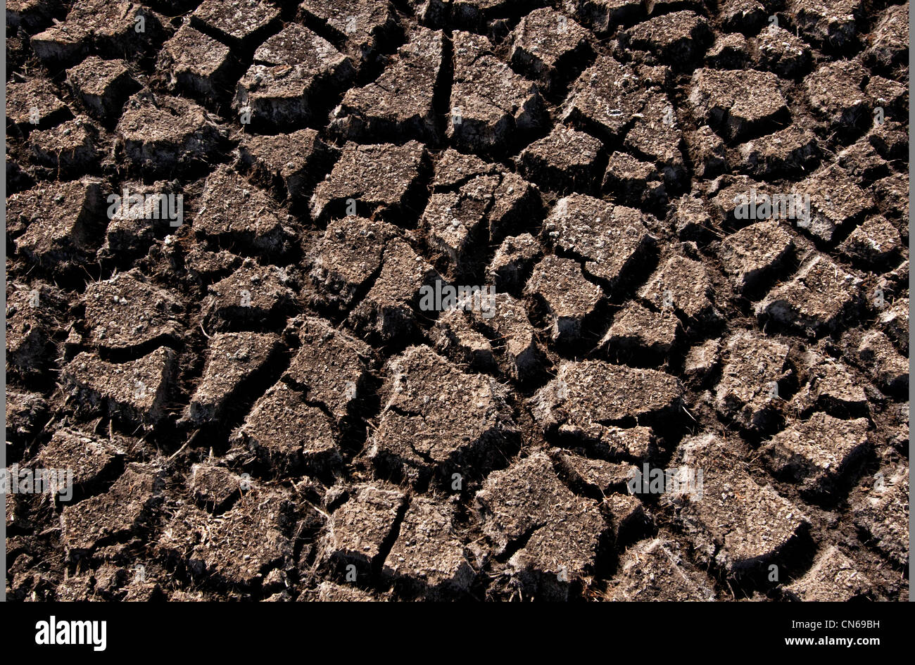 Dry, cracked soil during drought conditions. Tasmania, Australia Stock ...