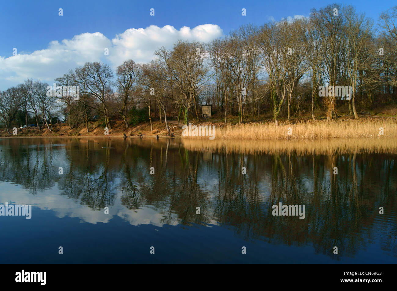 UK,Somerset,Reflections at Northern End of Chard Reservoir Stock Photo ...