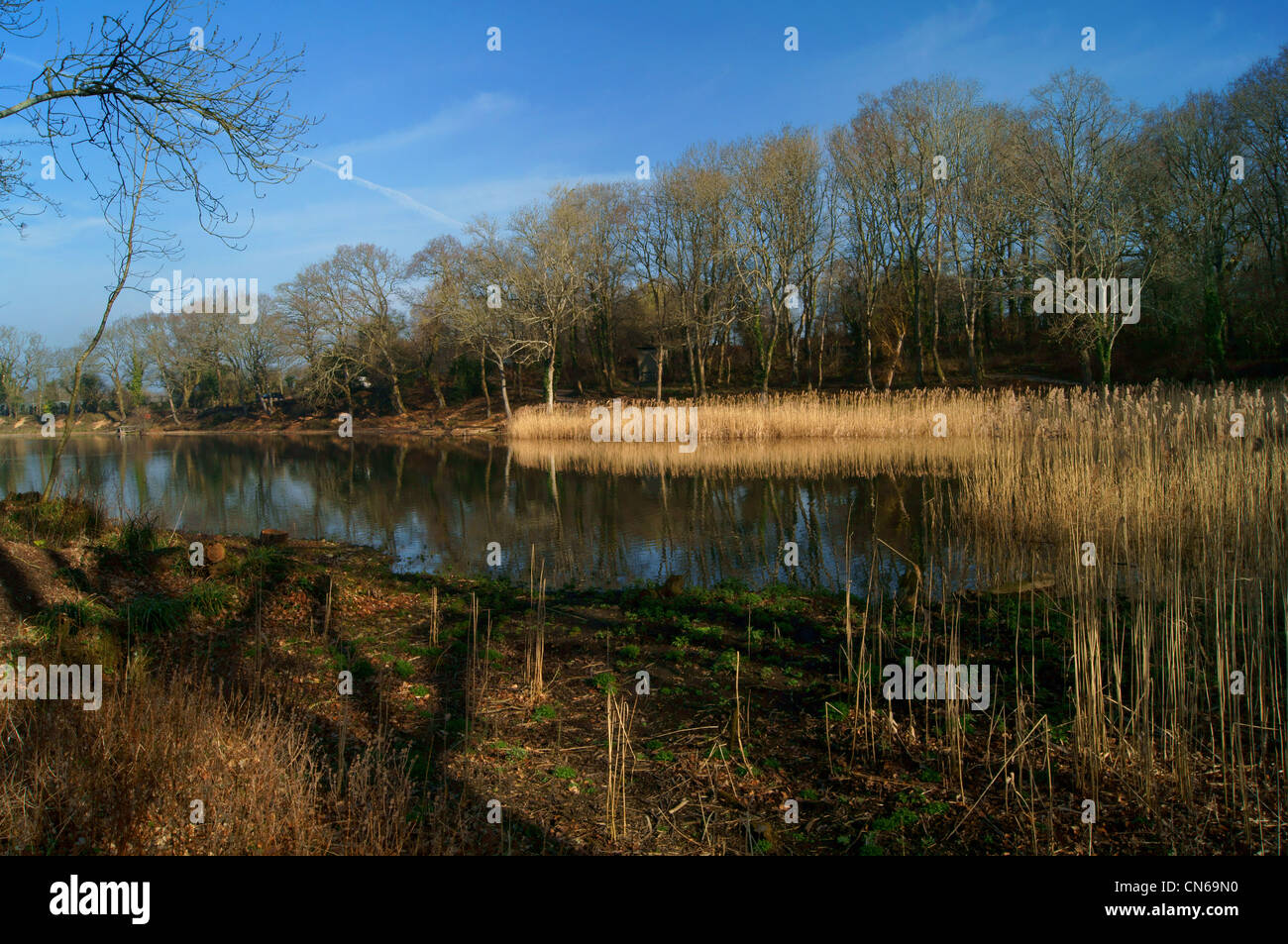 Fishing angling ornithology england uk europe hi-res stock photography ...