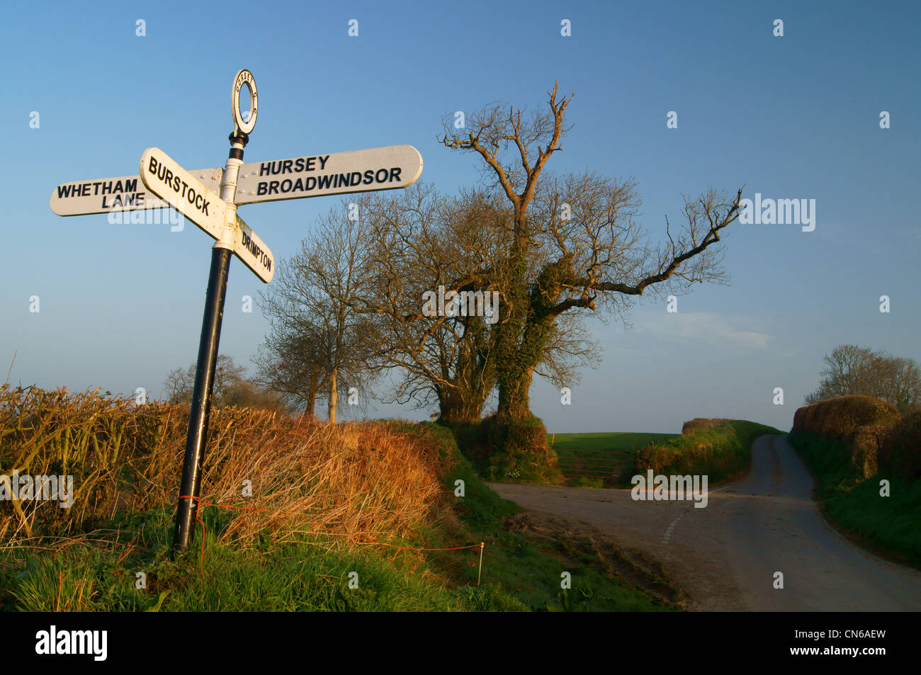 Sign Post at junction of country lanes near Drimpton in West Dorset ...