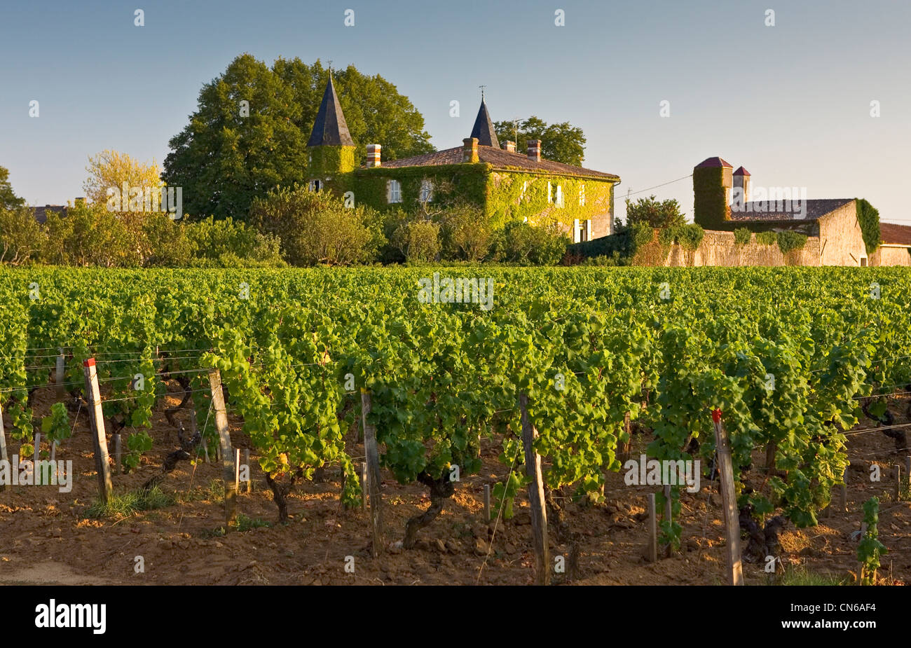 Chateau Coutet, Barsac region, Bordeaux, France Stock Photo - Alamy