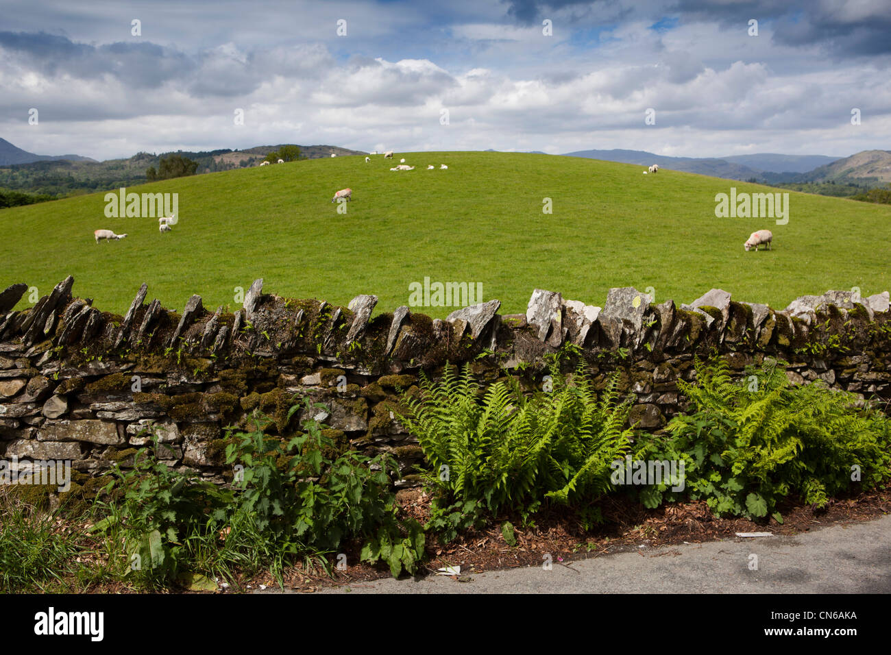 High wray farm hi-res stock photography and images - Alamy