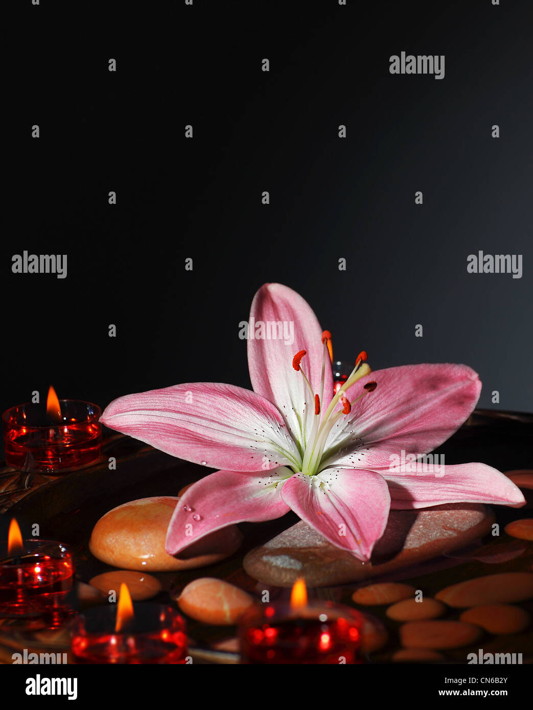 Zen atmosphere at spa salon, warm candles light at dark room, the spa ...