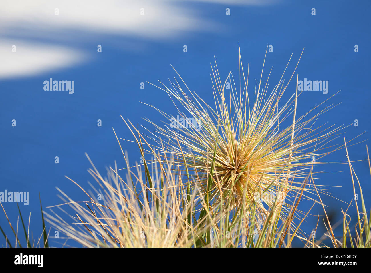 Beach Tumby Bay South Australia Stock Photo - Alamy