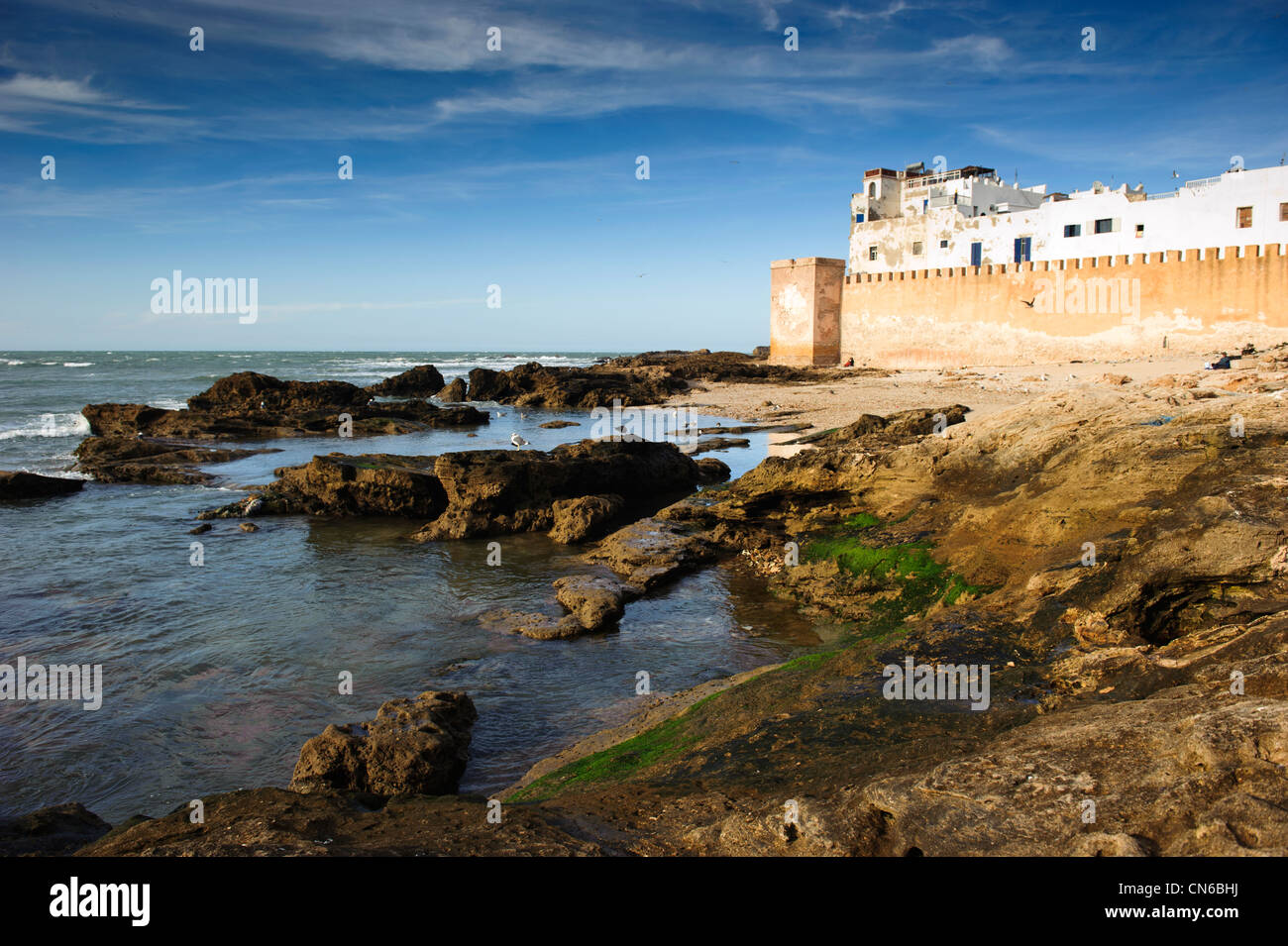 View of the Essaouira fortified city walls, Morocco Stock Photo - Alamy
